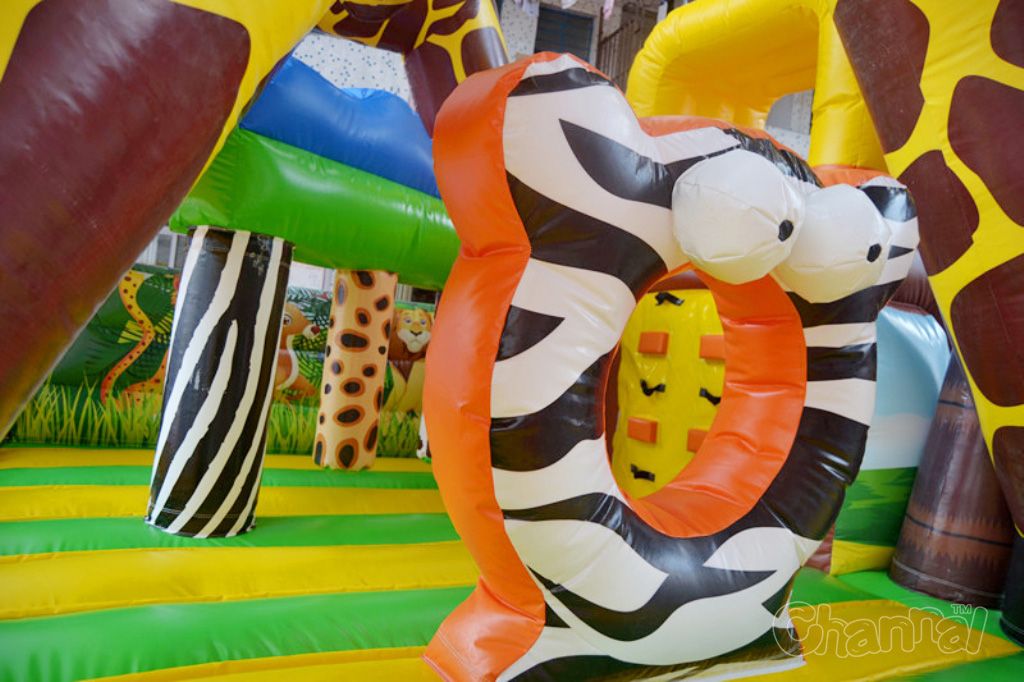 Giraffe Inflatable Combo - Channal Inflatables