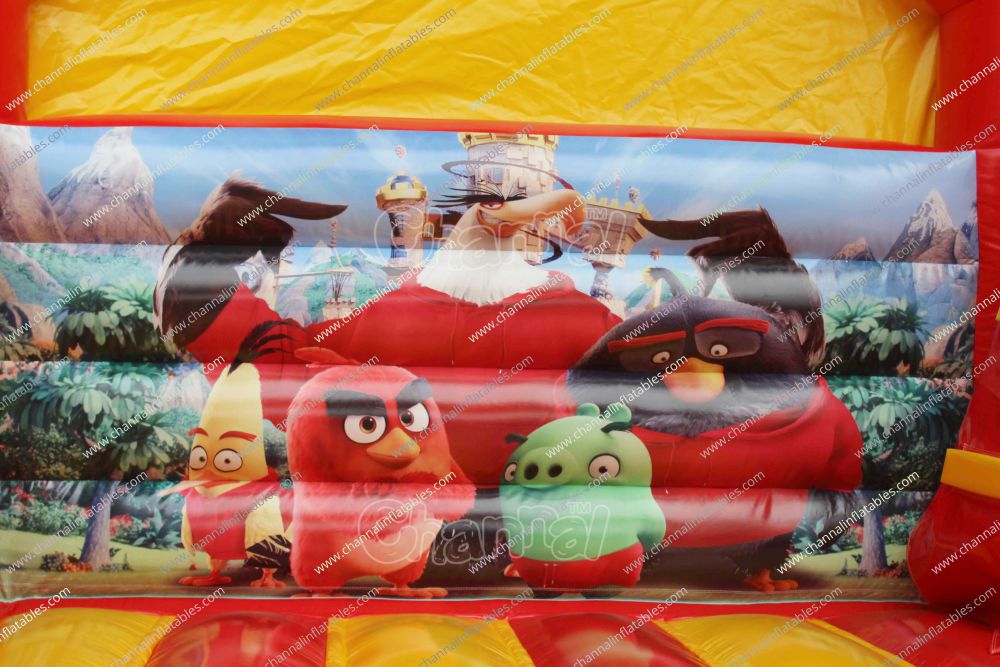 Angry Birds Inflatable Combo - Channal Inflatables