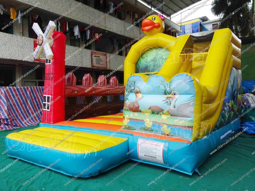 Duck Farm Inflatable Combo - Channal Inflatables