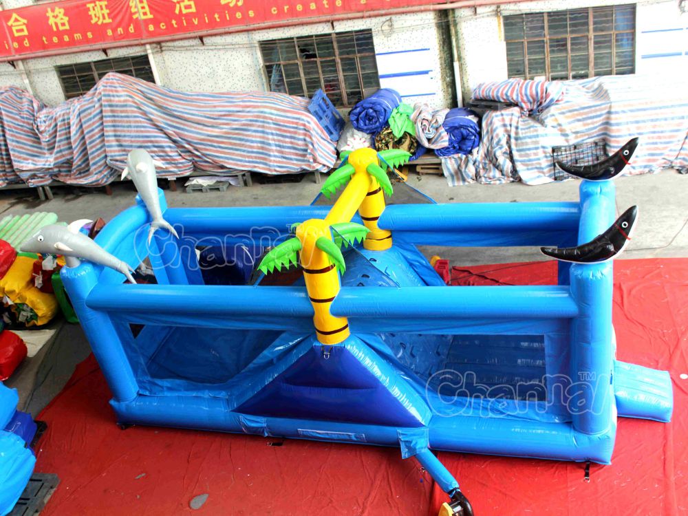 Blue Dolphin Inflatable Combo - Channal Inflatables