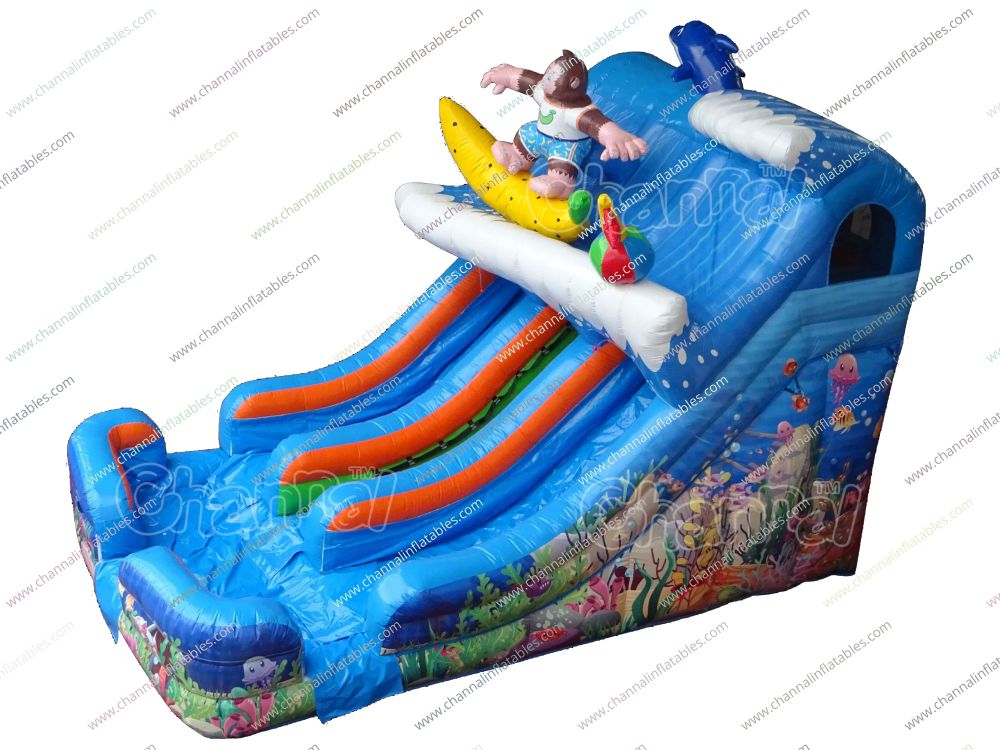 Surfing Inflatable Water Slide - Channal Inflatables