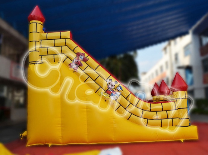 Donald Duck Inflatable Slide - Channal Inflatables