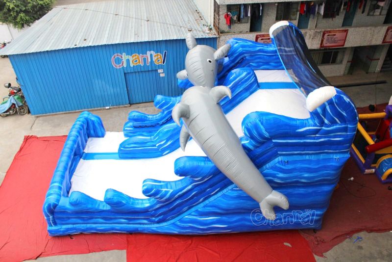 Dolphin Inflatable Slide - Channal Inflatables