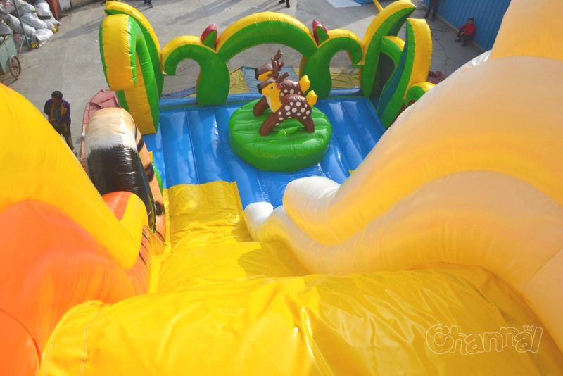 Tiger Inflatable Slide - Channal Inflatables
