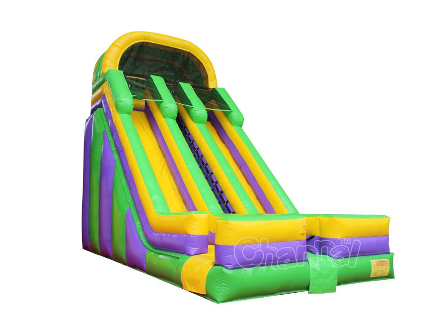 Double Lane Inflatable Slide - Channal Inflatables