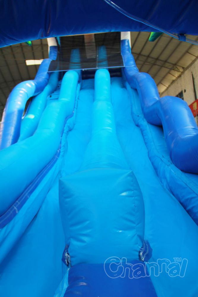 Tropical Wave Water Slide - Channal Inflatables