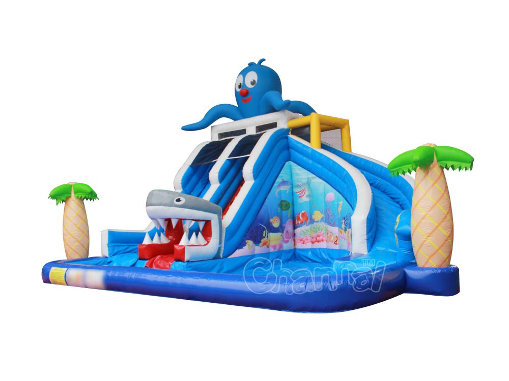 Ocean Backyard Pool Water Slide - Channal Inflatables
