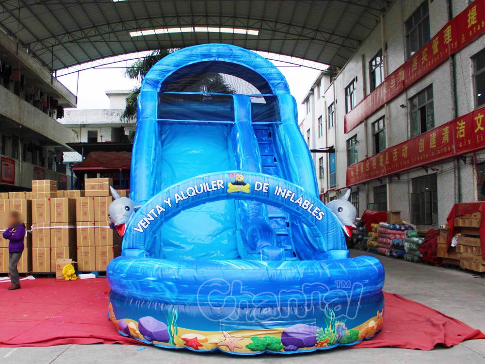 Ocean Theme Water Slide - Channal Inflatables