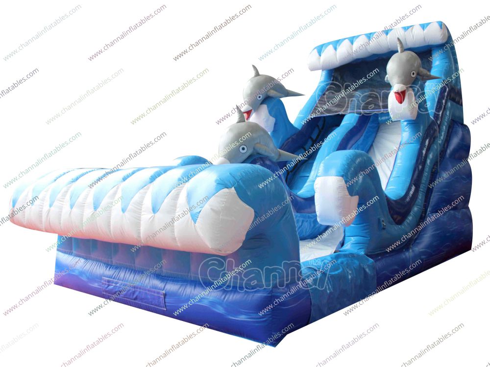 Dolphin Water Slide - Channal Inflatables