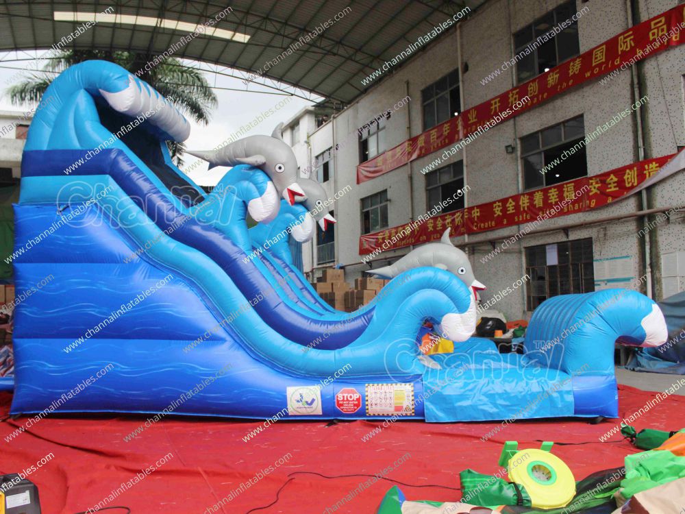 Dolphin Water Slide - Channal Inflatables