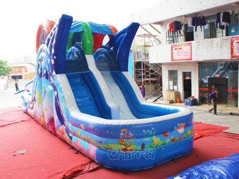 Under The Sea Inflatable Water Slide - Channal Inflatables
