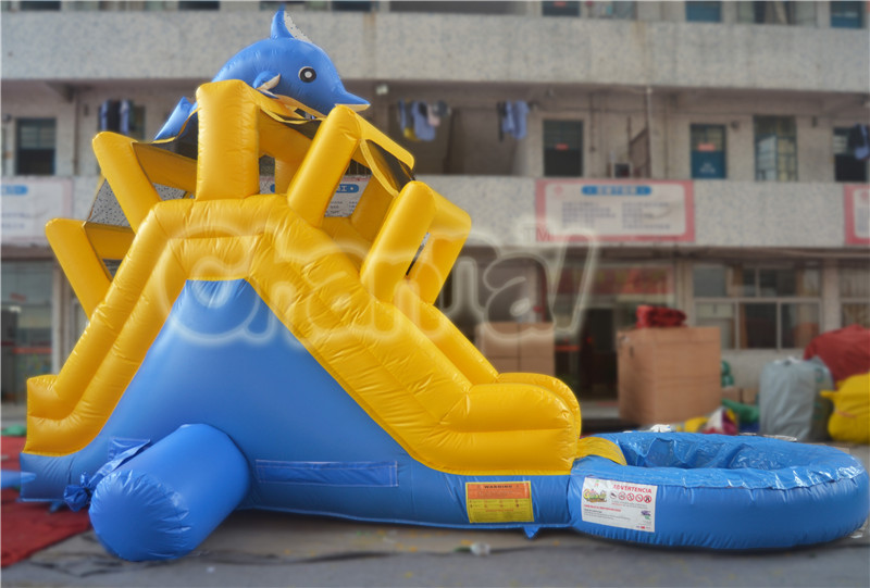Dolphin Backyard Inflatable Water Slide - Channal Inflatables